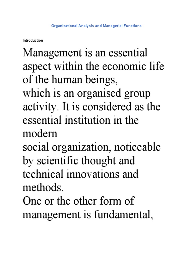 Organizational Analysis and Managerial Functions | PDF | Goal | Human ...