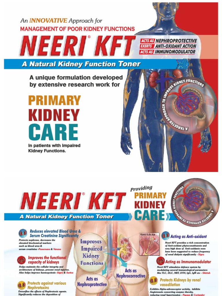 Neeri KFT Literature | PDF | Creatinine | Kidney