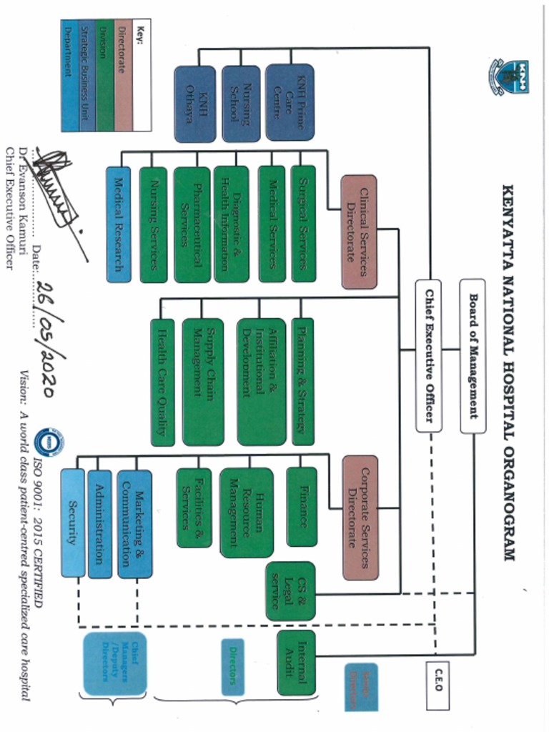 KNH Organogram 2020 | PDF