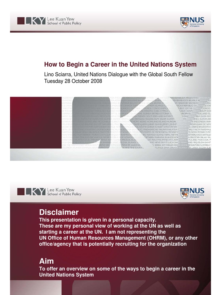 Starting a Career at the UN: Insights | PDF