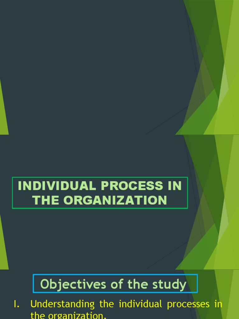 iNDIVIDUAL PROCESS IN THE ORGANIZATION | PDF