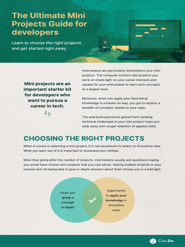 The Ultimate Mini Projects Guide For Developers | PDF | Web Application ...