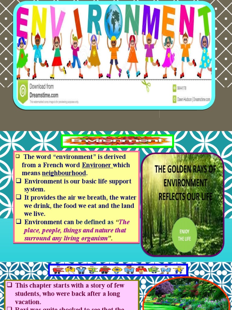 Class VII - Environment (Geog) | PDF | Natural Environment | Earth