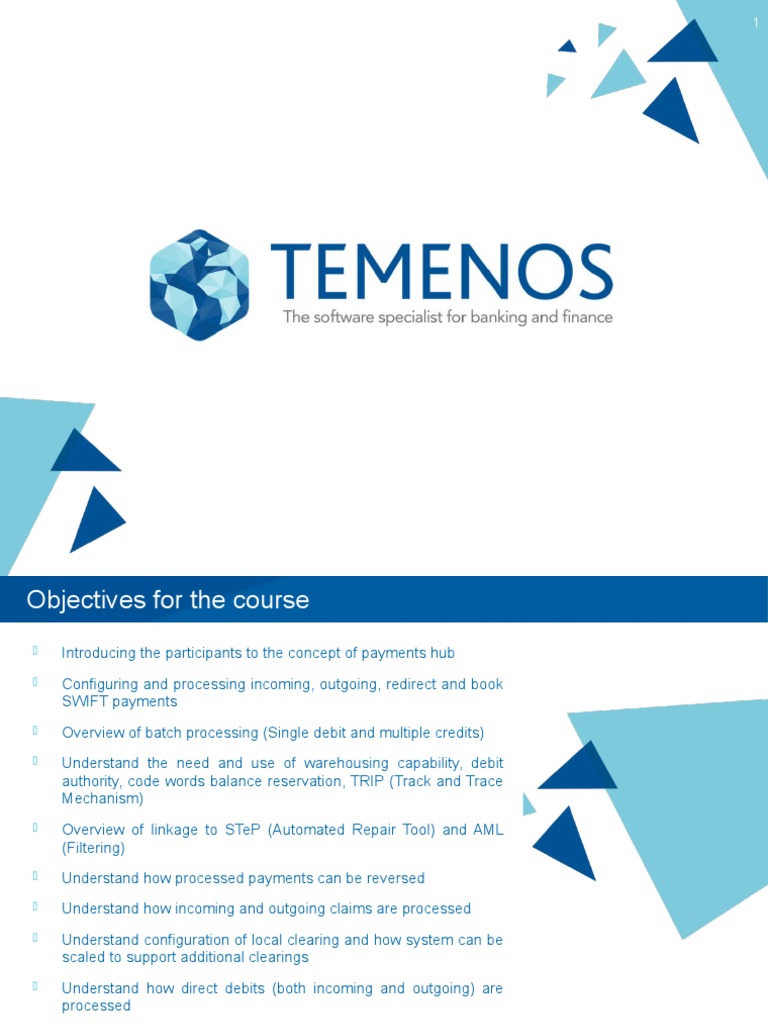 TPH | PDF | Payments | Debit Card