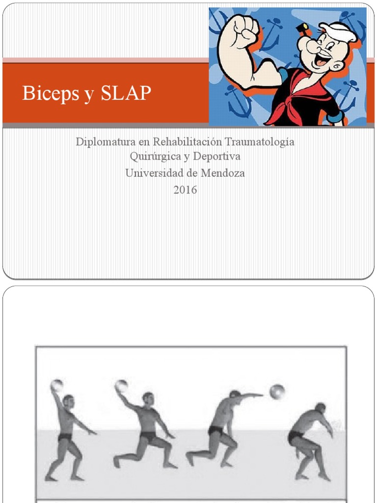 Biceps y Slap | PDF | Hombro | Extremidades (anatomía)
