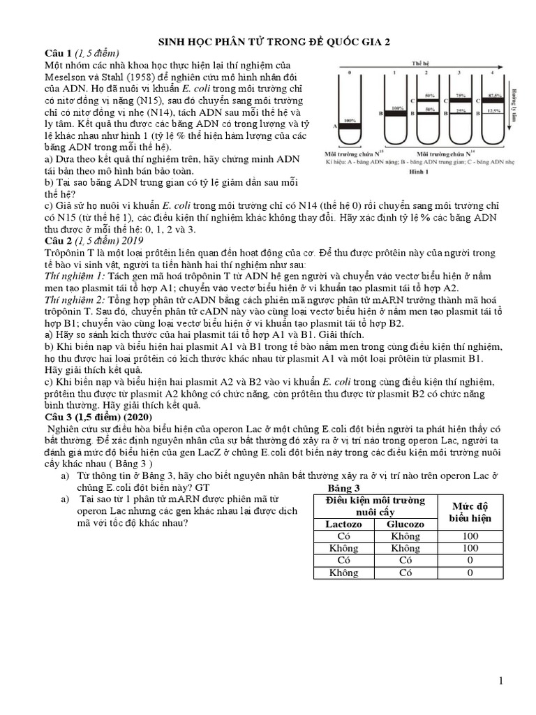 SHPT Trong de QG 2 | PDF