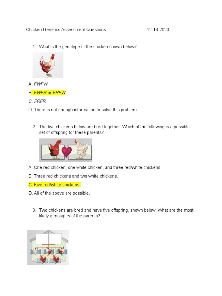 Chicken Genetics Assessment Questions | PDF | Wellness
