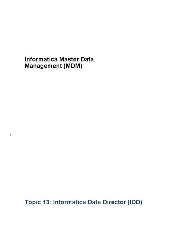 Informatica IDD Overview and Configuration | PDF | Metadata | File Format