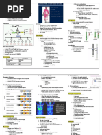 Lodwick Classification for Bone Tumor Growth | PDF | Medical Imaging ...