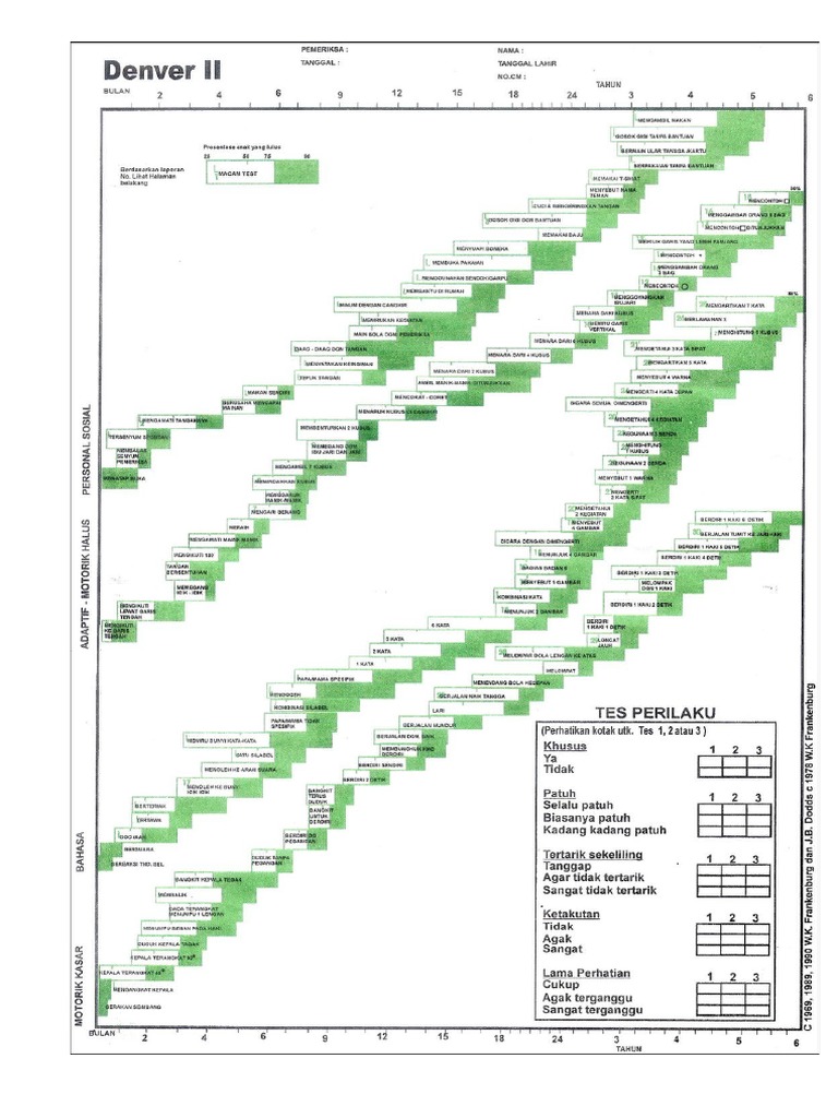 255 - Grafik Denver II Dan KPSP | PDF