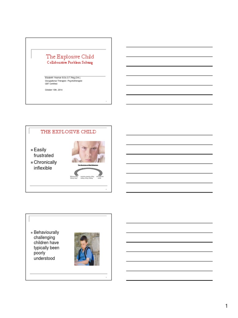 The Explosive Child | PDF | Emotional Self Regulation | Emotions