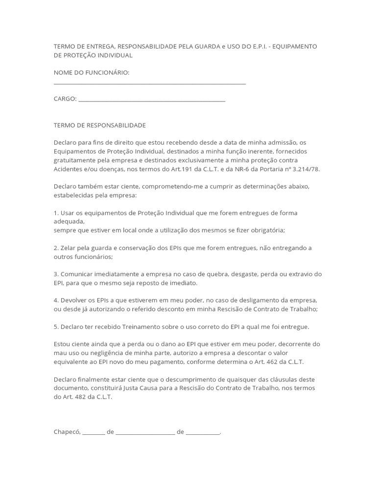 TERMO DE ENTREGA Epi | PDF