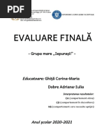 Evaluare Initiala Grupa Mica | PDF