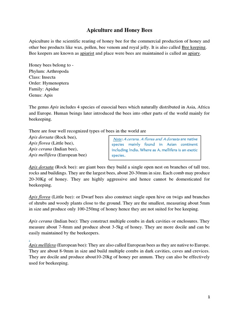 Apiculture and Honey Bees | PDF | Honey Bee | Beehive
