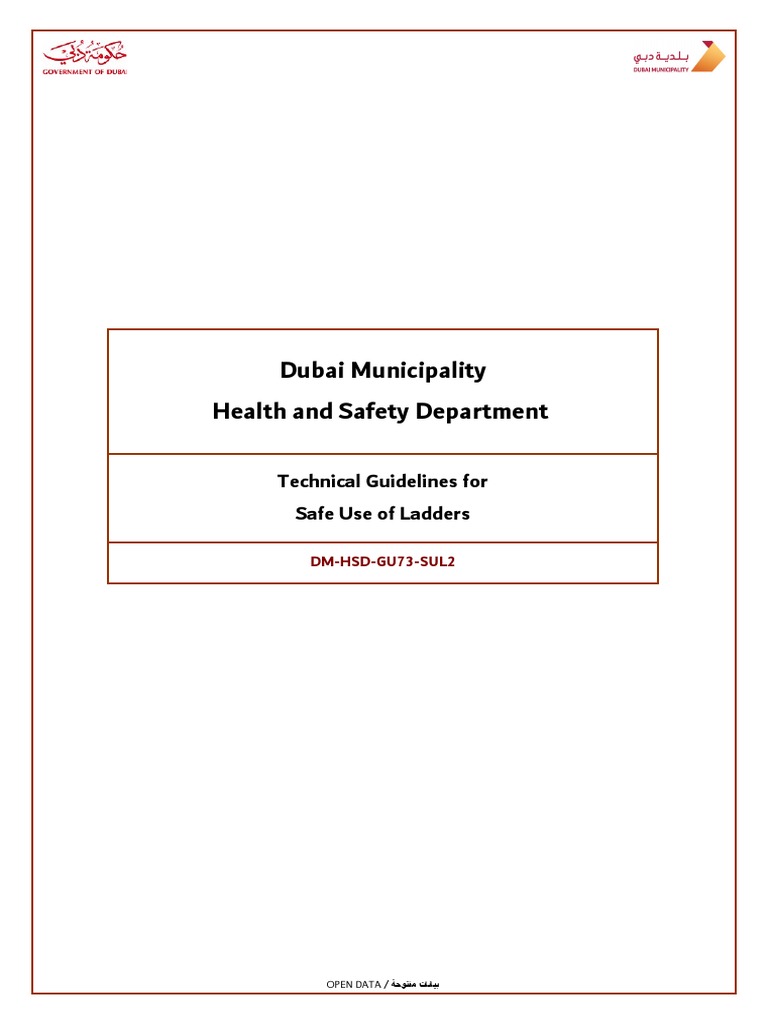 DM HSD - GU73 - SUL2 - Technical Guidelines For Safe Use of Ladders ...