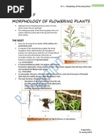 Kcse 2024 Bio Pp1 Ms - Code 01 | PDF | Cellular Respiration | Flowers
