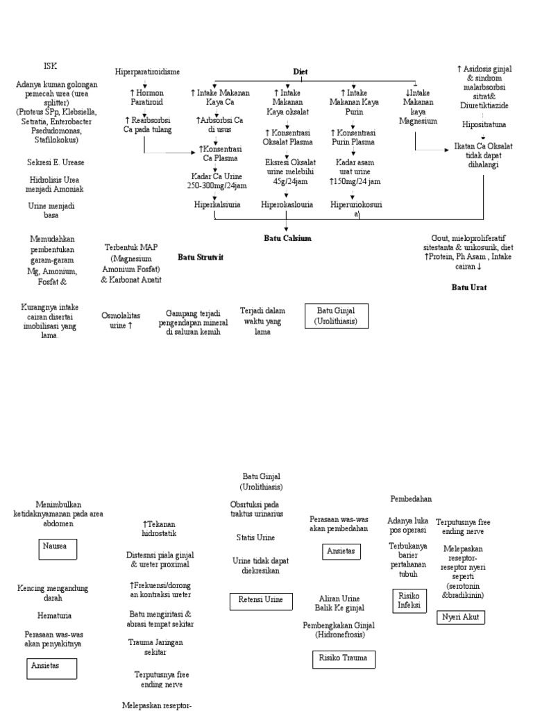 Patway Urolithiasis | PDF