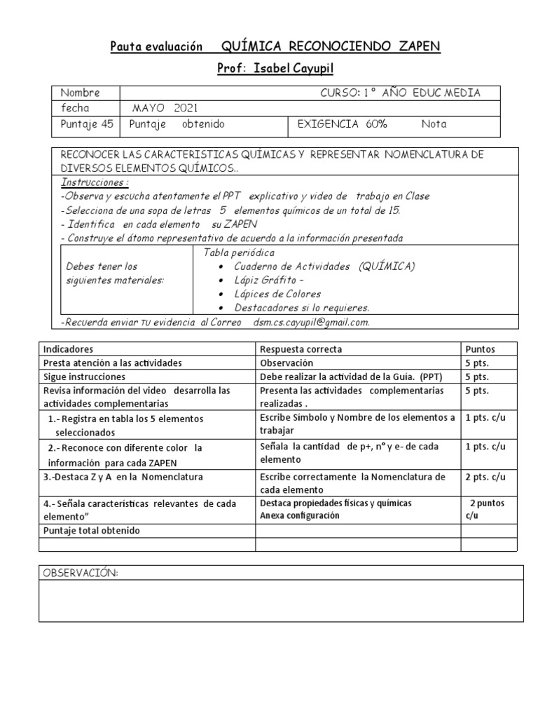 Pauta de Evaluación ZAPEN | PDF