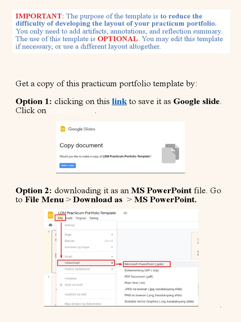 Suggested LDM Practicum Portfolio Template | PDF | Teaching | Pedagogy