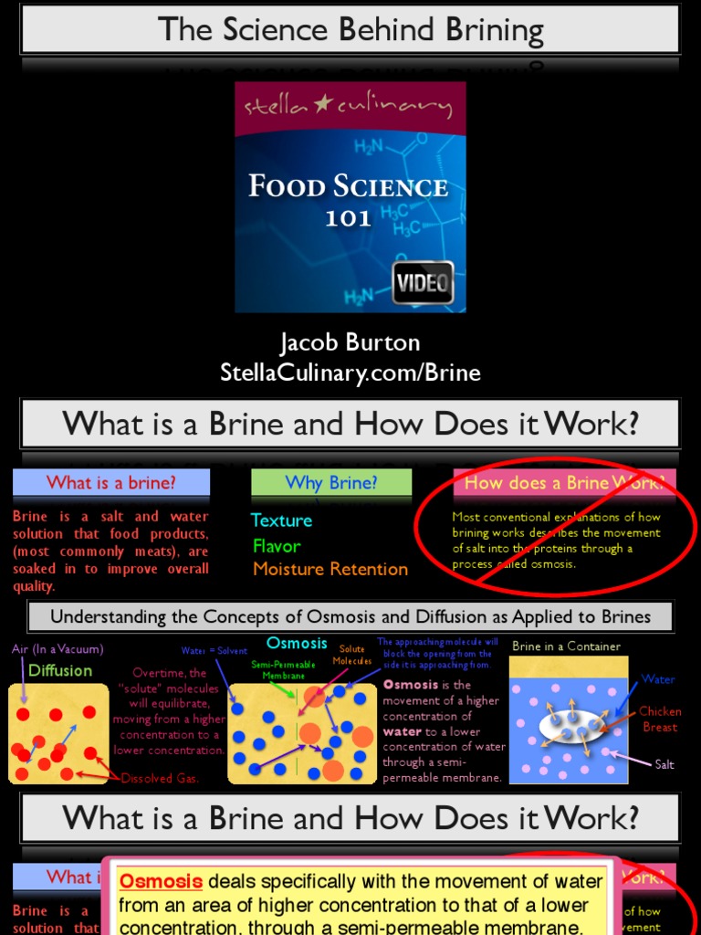 Science Behind Brining | PDF | Osmosis | Chemistry