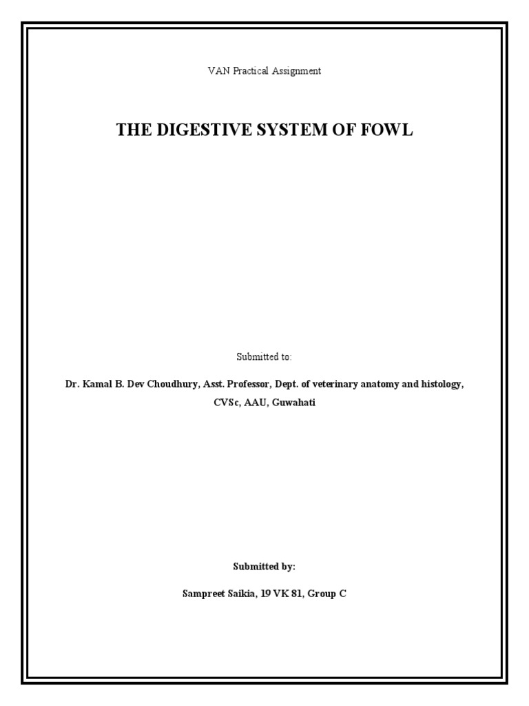 Avian Digestive System | PDF | Stomach | Gastrointestinal Tract