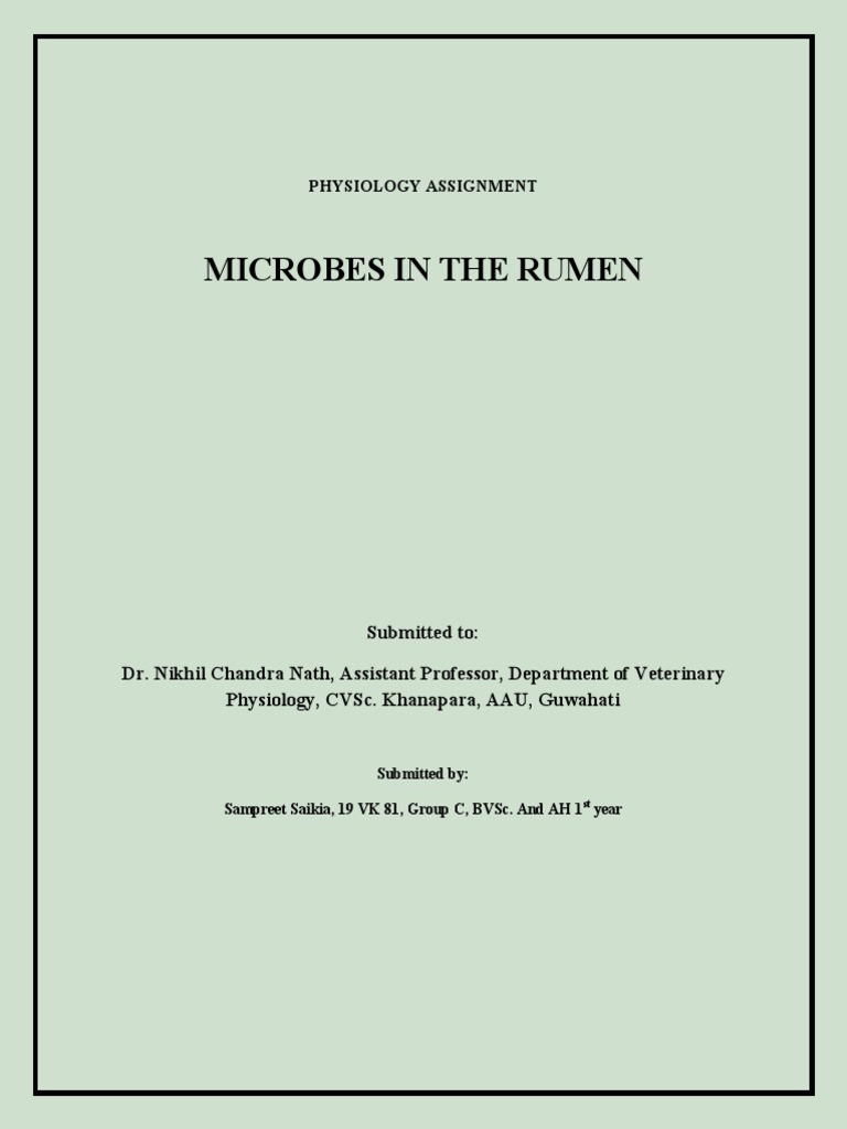 Physiology Assignment On Rumen Microbes by 19 VK 81 | PDF | Cellulose ...