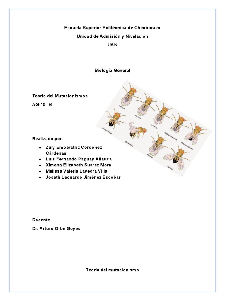 Investigacion Sobre La Teoria Del Mutacionismo - AG-10 B | PDF ...