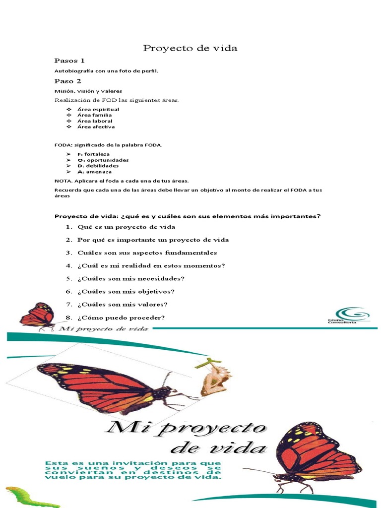 Proyecto de Vida FIHR | PDF