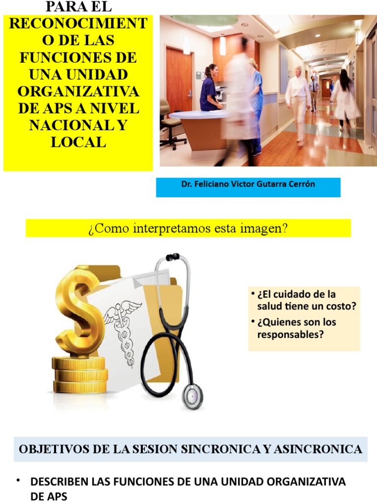 Funciones de Una Unidad Organizativa de Aps | PDF | Cuidado de la salud | Ciencias de la Salud