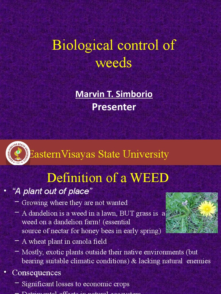 Biological Control of Weeds Explained | PDF | Biological Pest Control ...