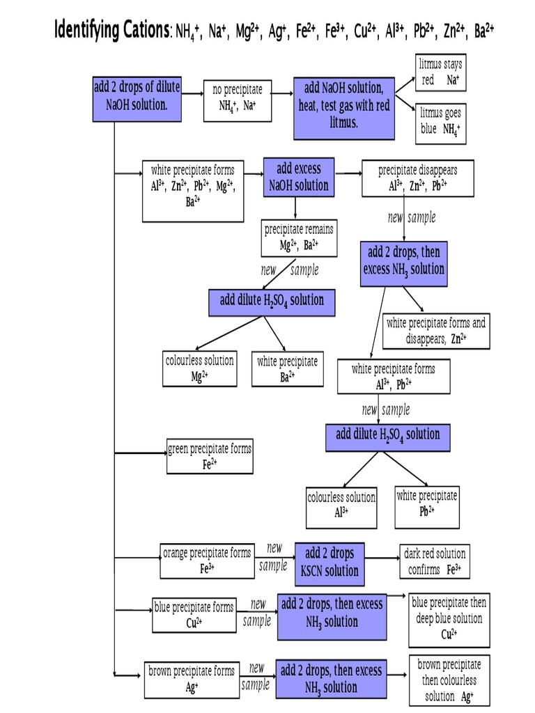 Identifying Cations Flowchart | PDF | Precipitation (Chemistry ...