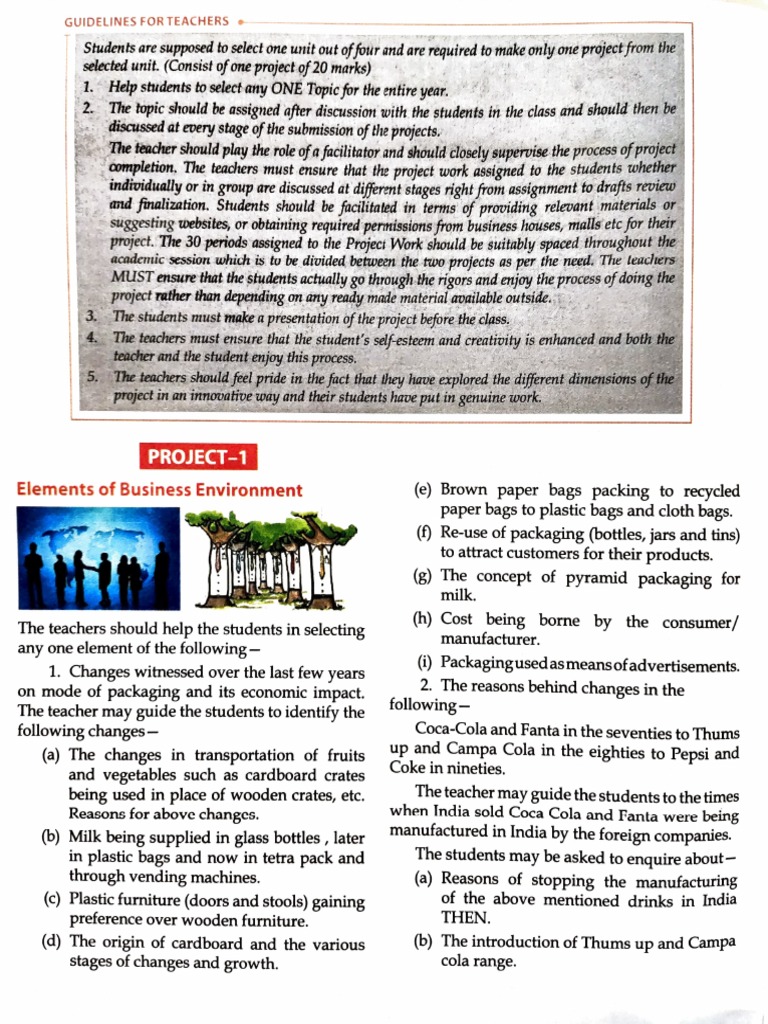 Guidelines for Completing a School Project on Elements of Business ...