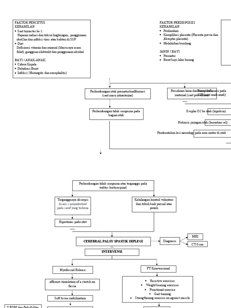 Underlying Process CP Spastik | PDF