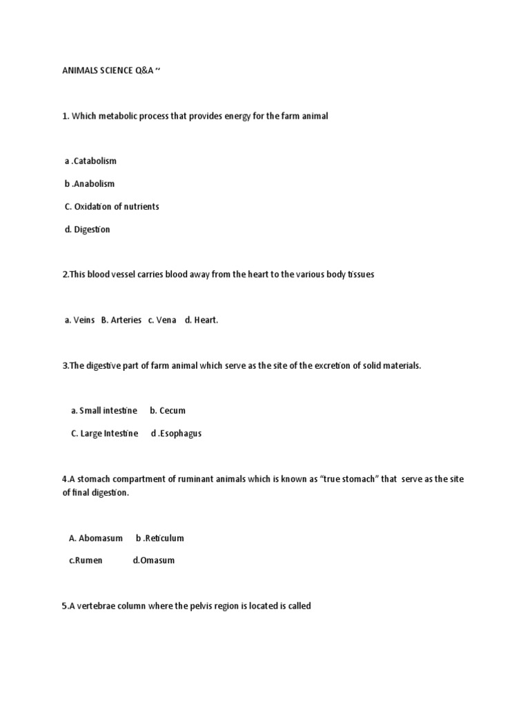 Animals Science . | PDF | Digestion | Ruminant