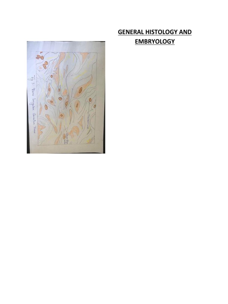 General Histology and Embryology | PDF