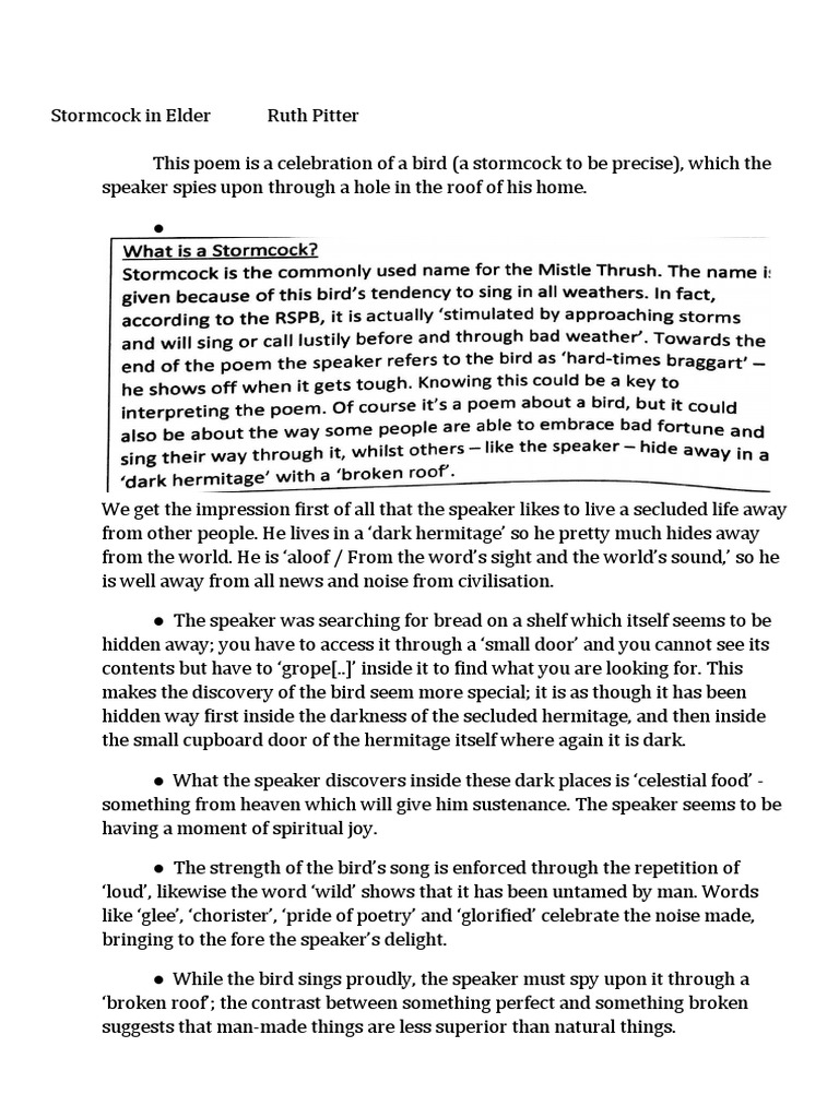 Stormcock in Elder | PDF | Poetry | Entertainment (General)