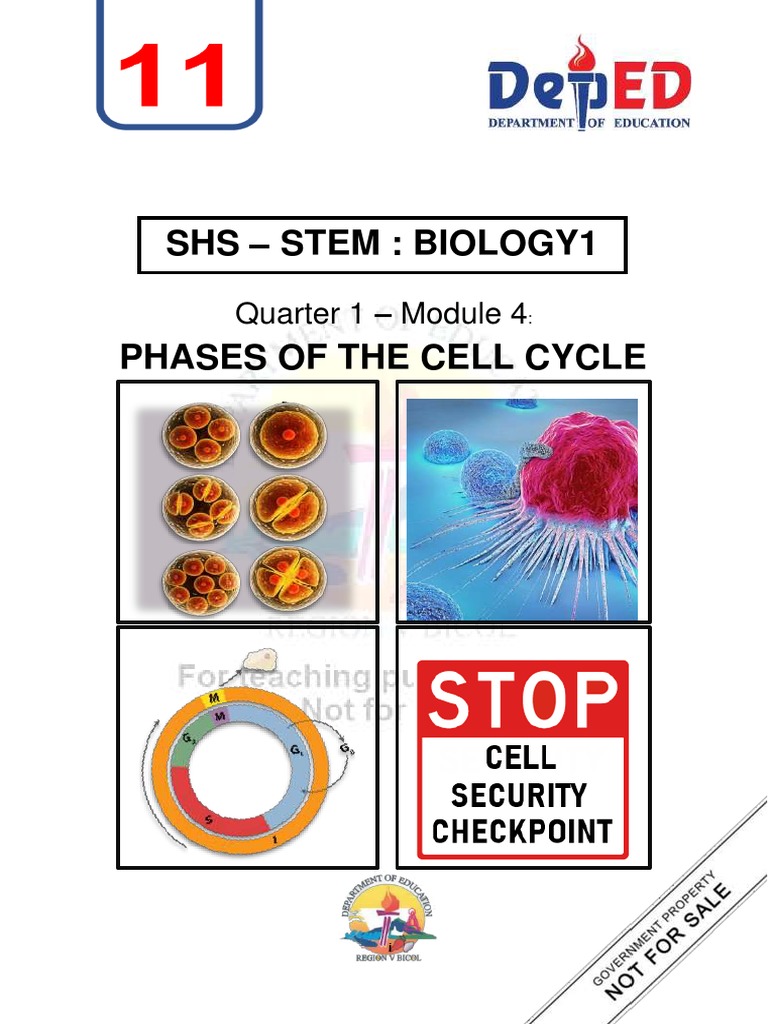 SHS - Stem: Biology1: Quarter 1 - Module 4 | PDF | Mitosis | Cell Cycle