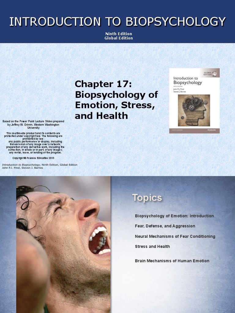 1 Emotions Aggression Stress Pdf Amygdala Stress Biology