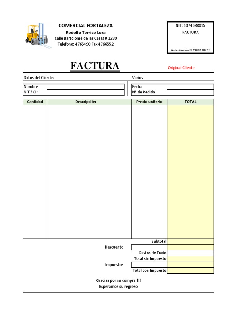 Formato Factura | PDF