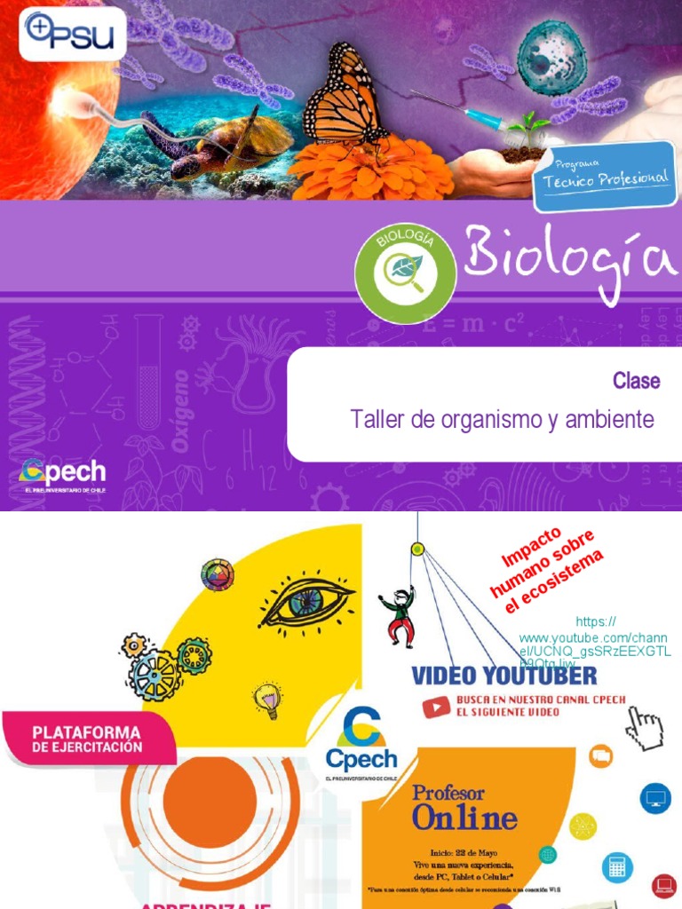 Clase 28 Taller de Organismo y Ambiente | PDF | Fotosíntesis | Cloroplasto