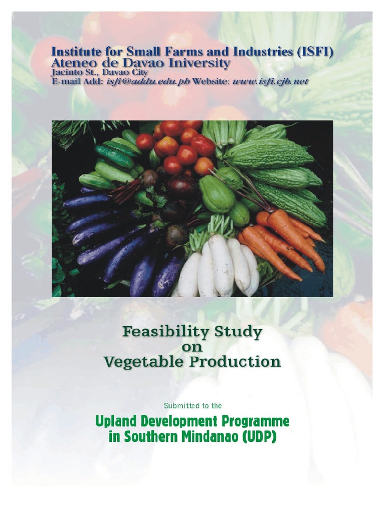 24 Feasibility Study On Vegetable Production | PDF | Vegetables | Agriculture
