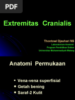 Anatomi dan Fisiologi Aksila | PDF