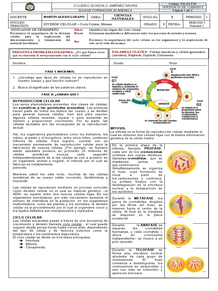 Guia 2. Reproducción Celular - Ciclo Celular - Mitosis 3 | PDF ...