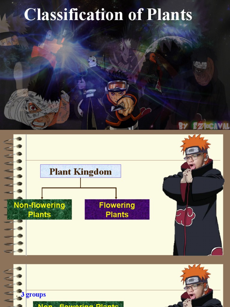 Classification of Plants | PDF