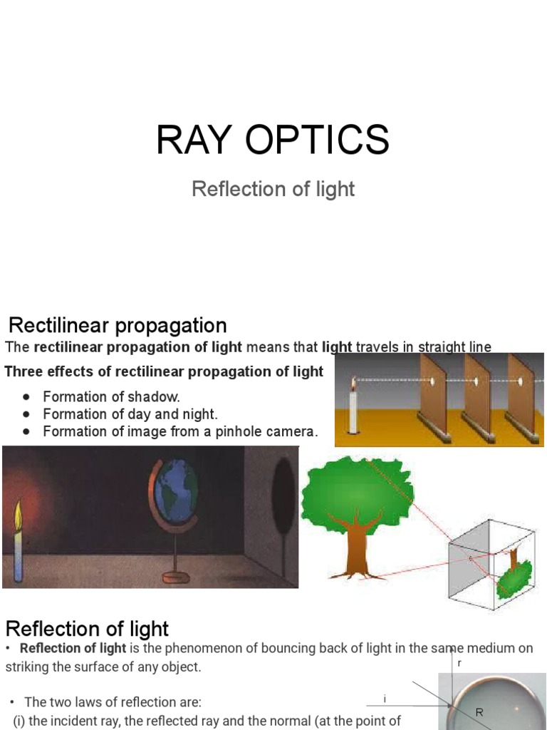 Ray Optics: Reflection of Light | Descargar gratis PDF | Reflection (Physics) | Mirror
