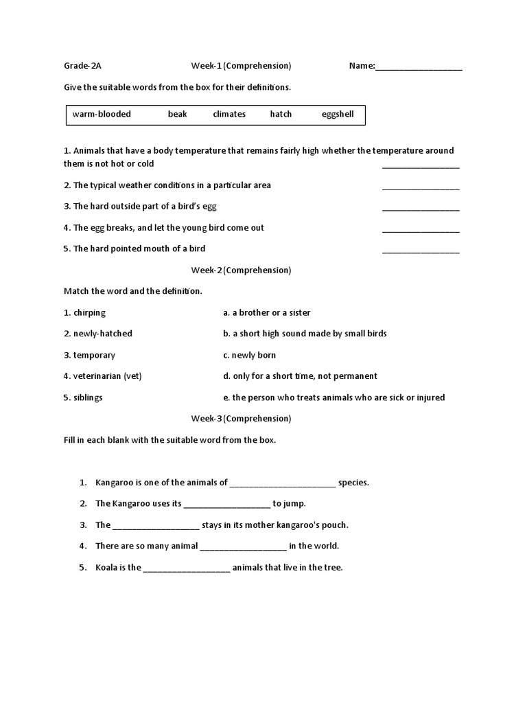 Grade 2 Vocabulary Worksheet | PDF