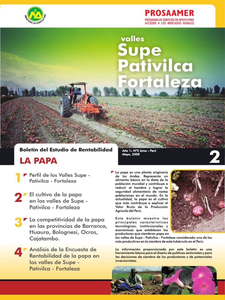 Rentabilidad de la Papa en Valles Supe-Pativilca | PDF | Patata | Agricultura