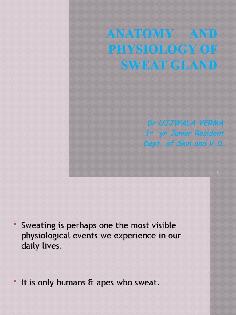 Anatomy and Physiology of Sweat Gland | PDF | Organ (Anatomy ...