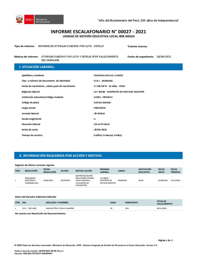 Informe Subsidio por Luto y Sepelio | PDF | Gobierno y personalidad ...