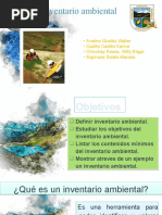 Inventario Ambiental | PDF | Entorno natural | Suelo